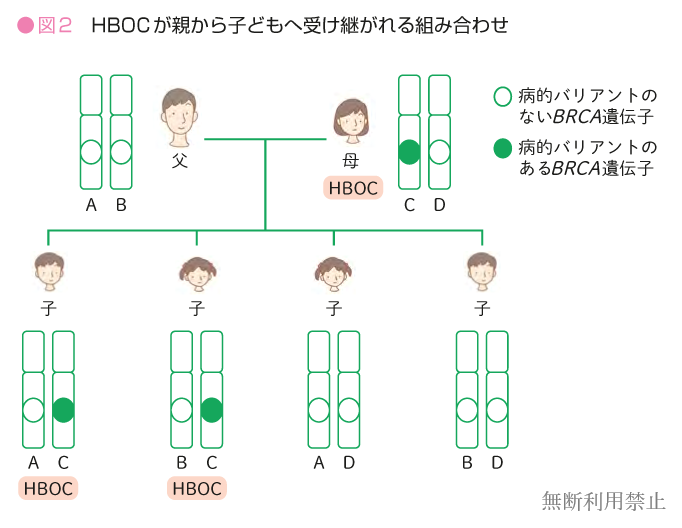 HBOC（エイチビーオーシー）とは何でしょうか？家族や血縁者への影響はありますか？―「遺伝性乳がん卵巣がんを知ろう！みんなのためのガイドブック ...